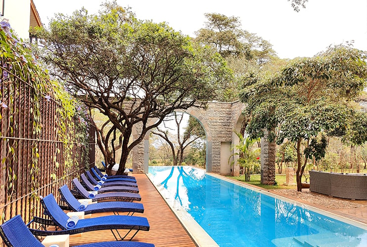 The most iconic hotel with Giraffes » The Safari Collection