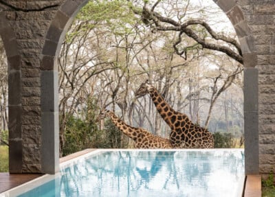 Giraffe Manor Hotel in Nairobi » The Safari Collection